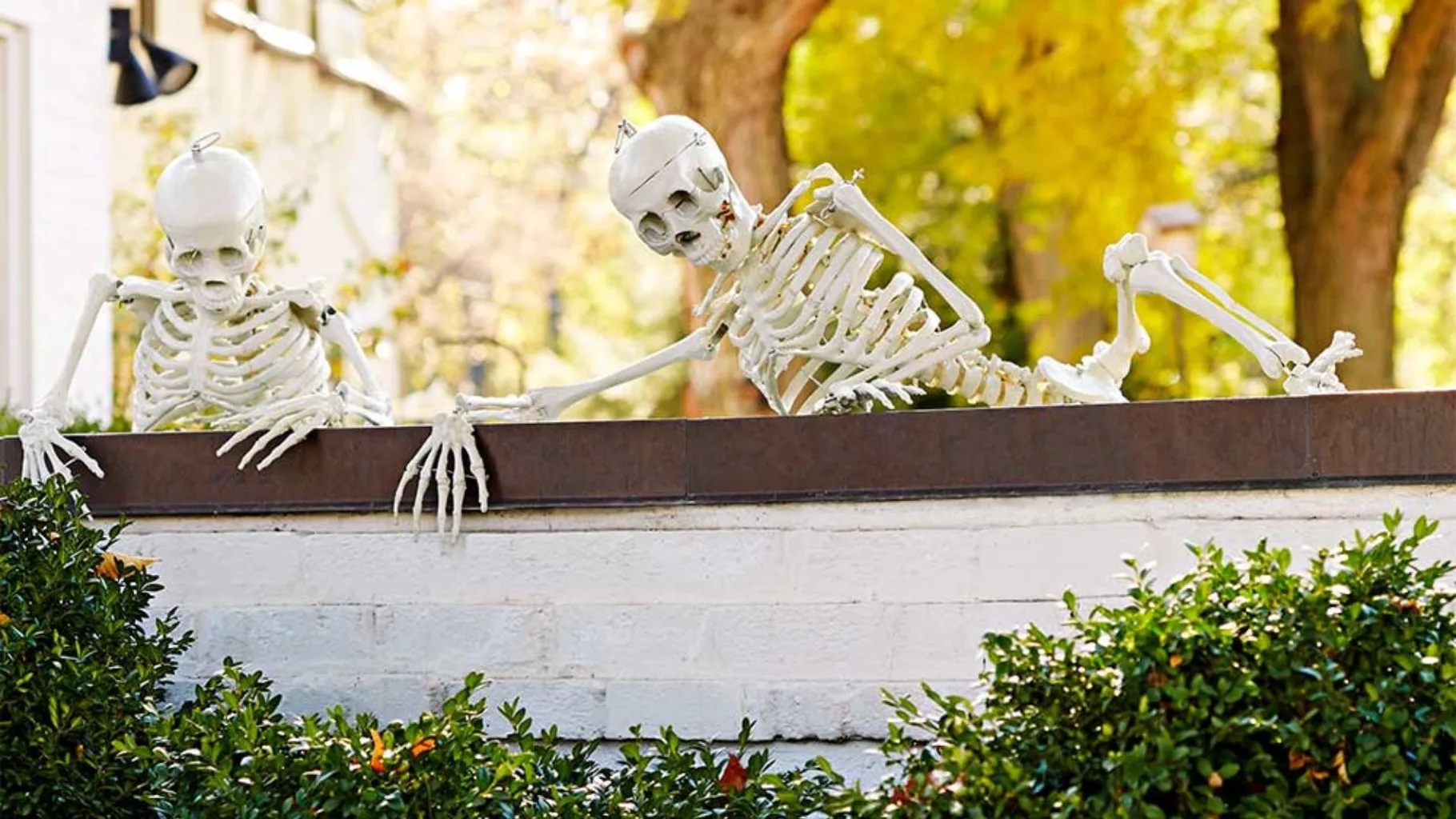 19 funny skeleton poses for this Halloween