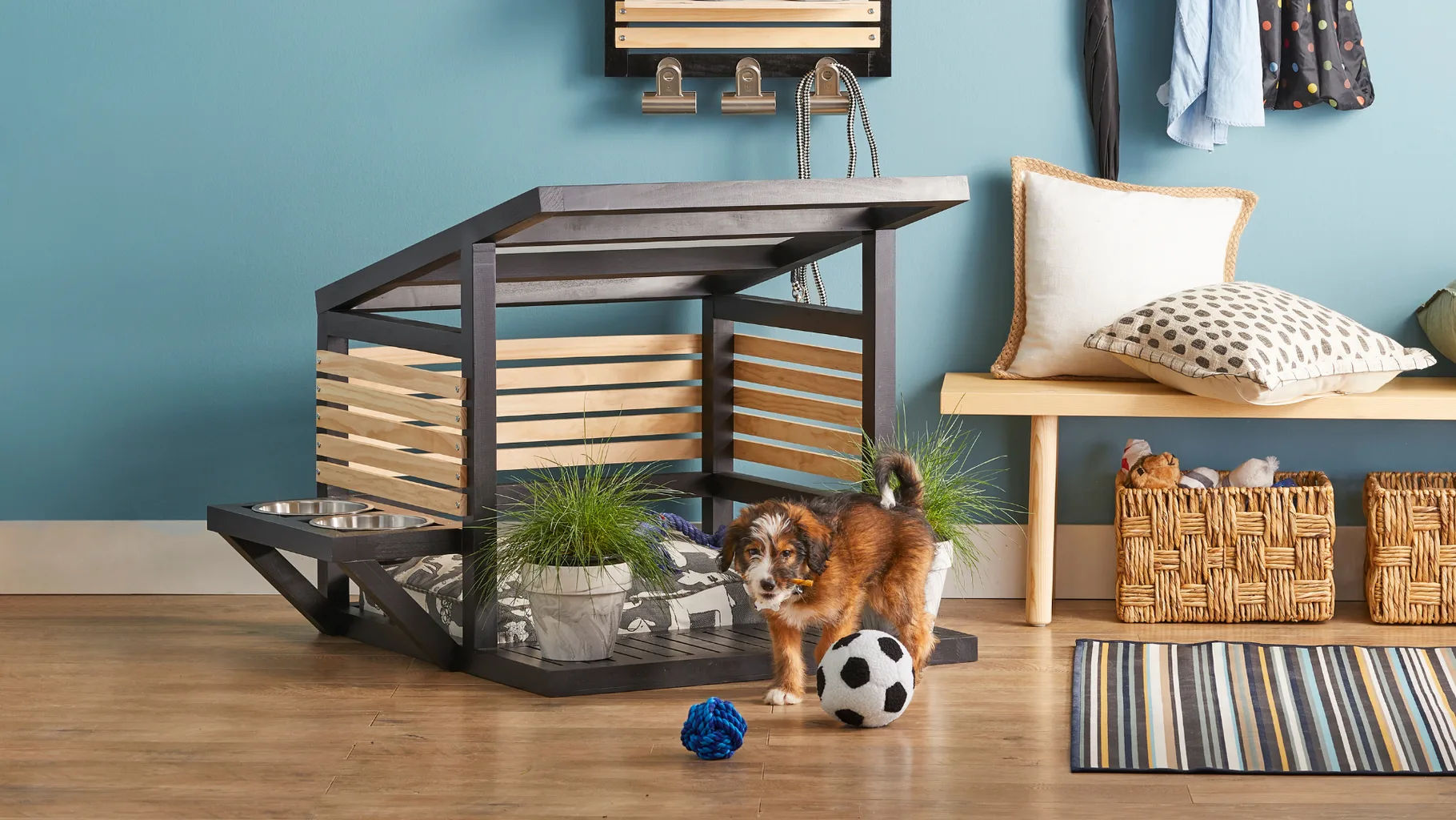 10 simple steps to build a stylish DIY dog kennel - Better Homes ...