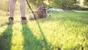 Lawn grub solutions: How to get rid of curl grubs for good | Better ...