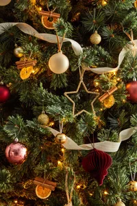 6 Christmas Tree Themes | Better Homes & Gardens Australia