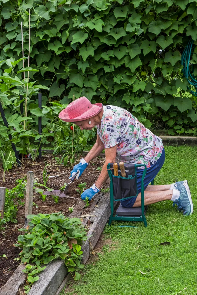 Everything you need to know about community gardens - Better Homes ...