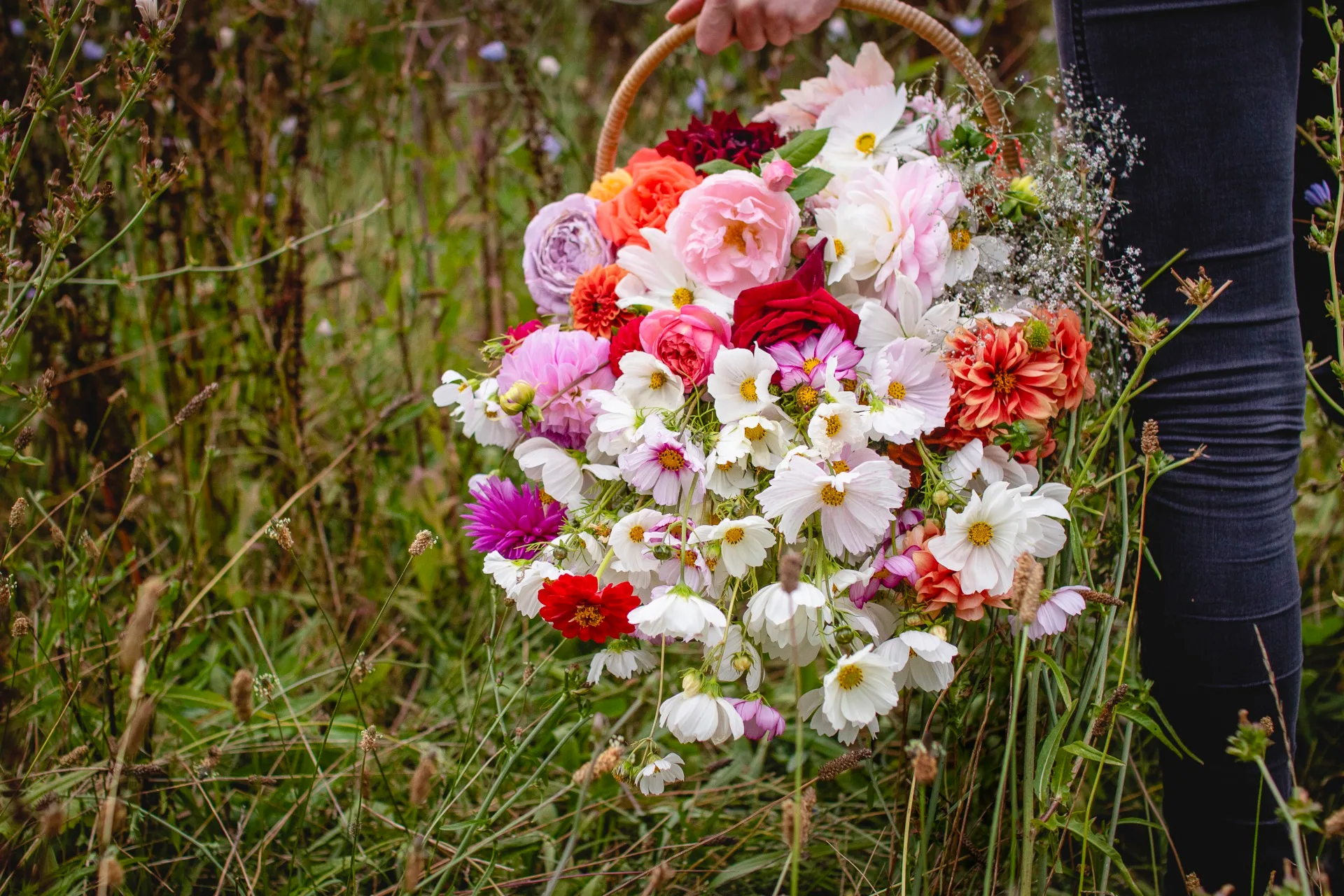 A beginner's guide to creating an at-home cut flower garden - Better ...