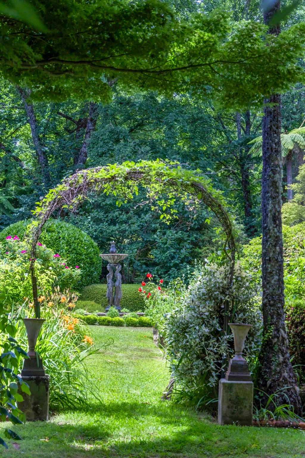 The best plants for creating a cool climate garden | Better Homes ...