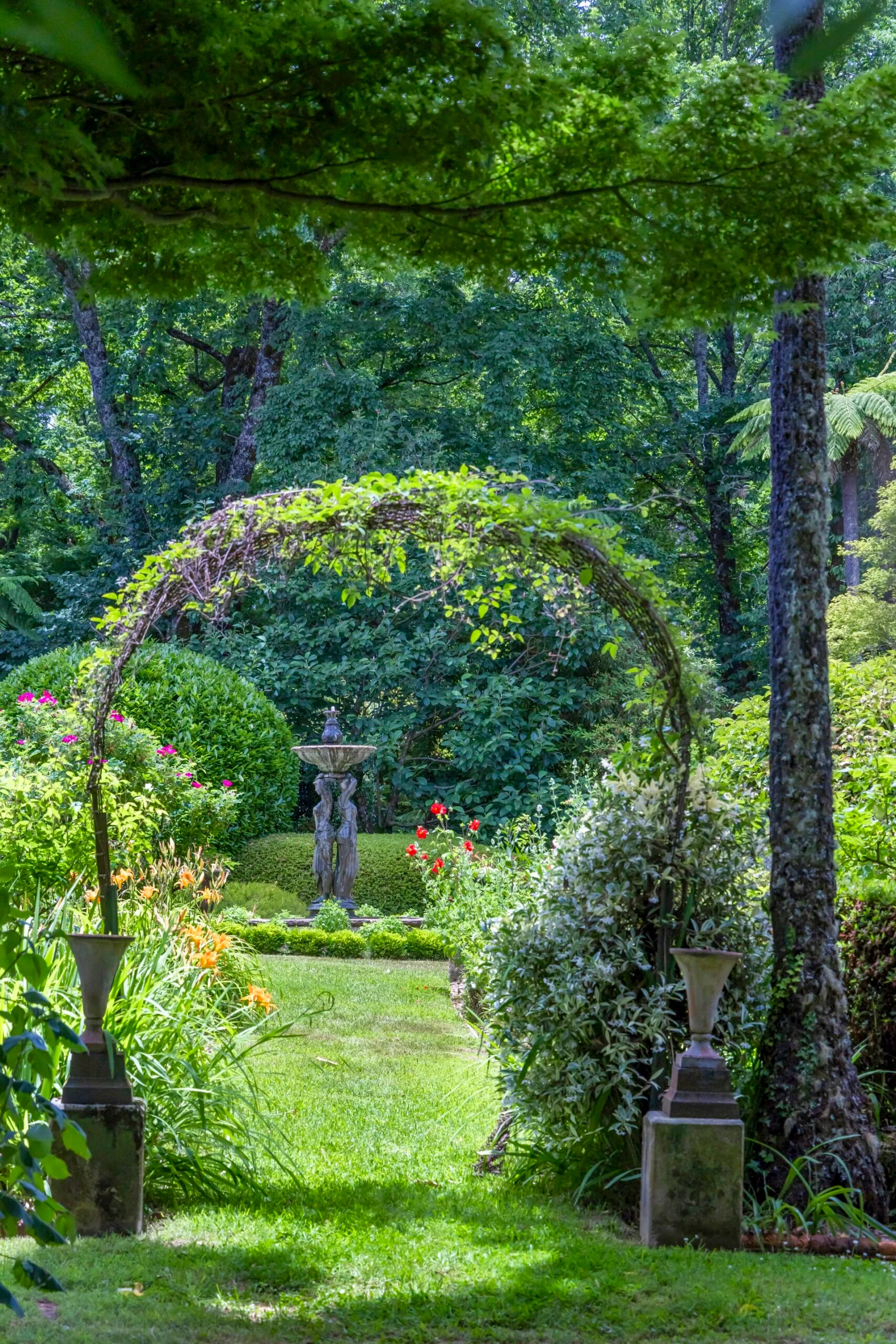 The best plants for creating a cool climate garden | Better Homes ...