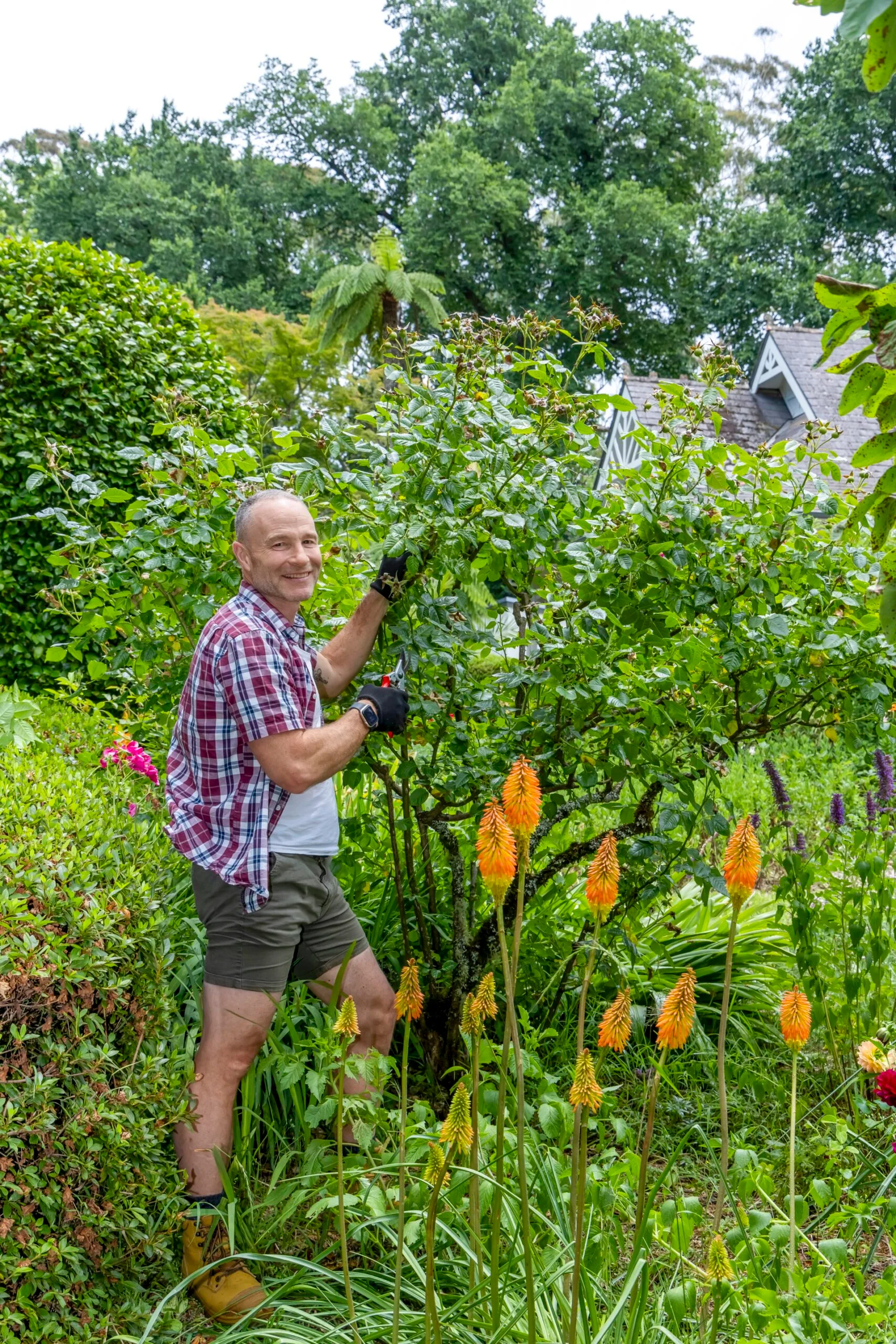 The best plants for creating a cool climate garden | Better Homes ...