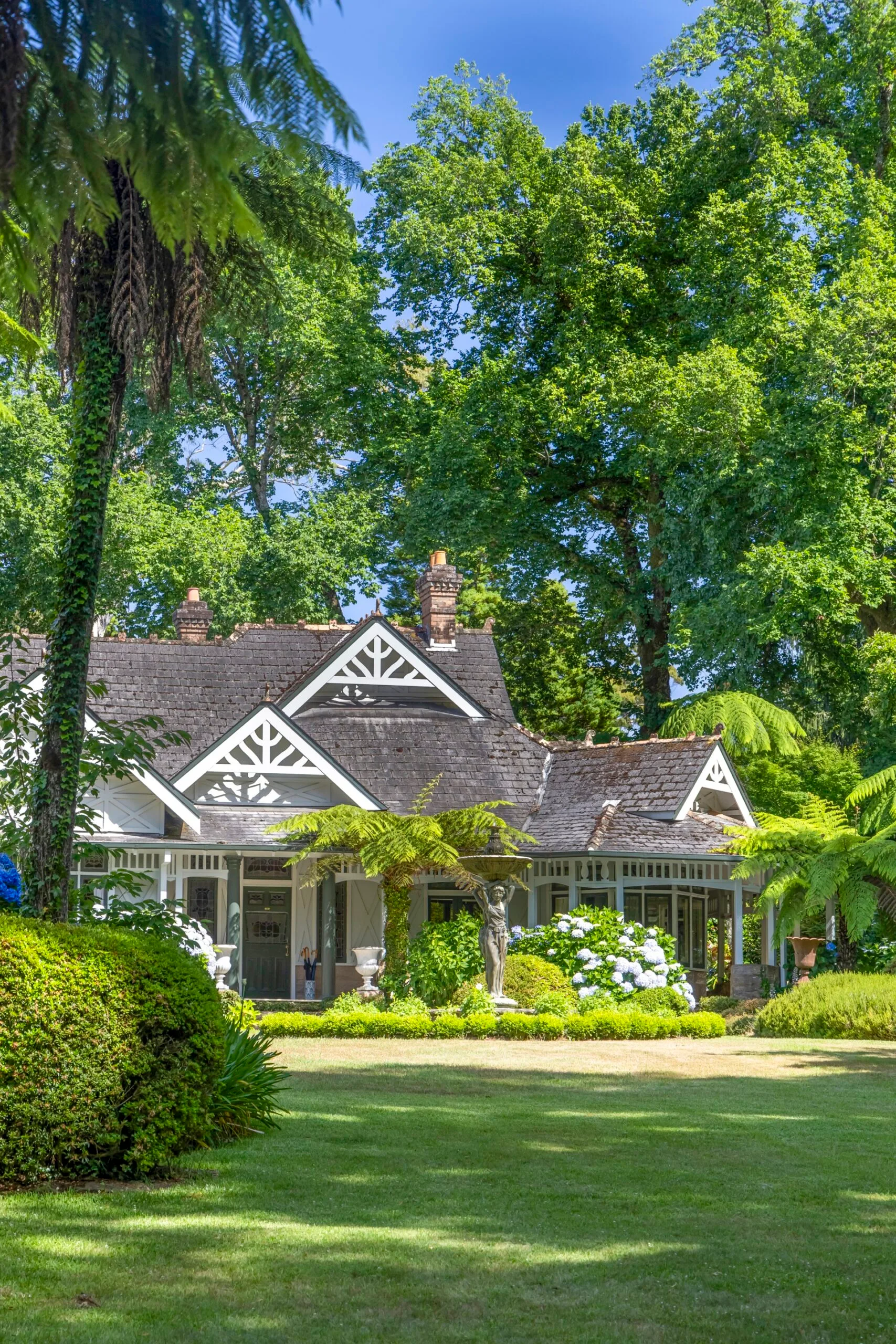 The best plants for creating a cool climate garden | Better Homes ...