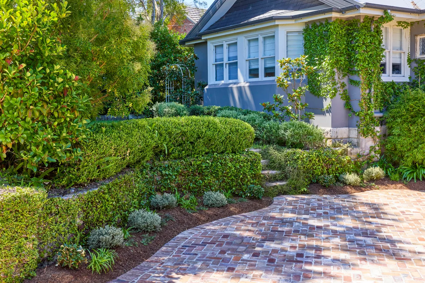 3 garden basics that will guarantee you healthy plants - Better Homes ...