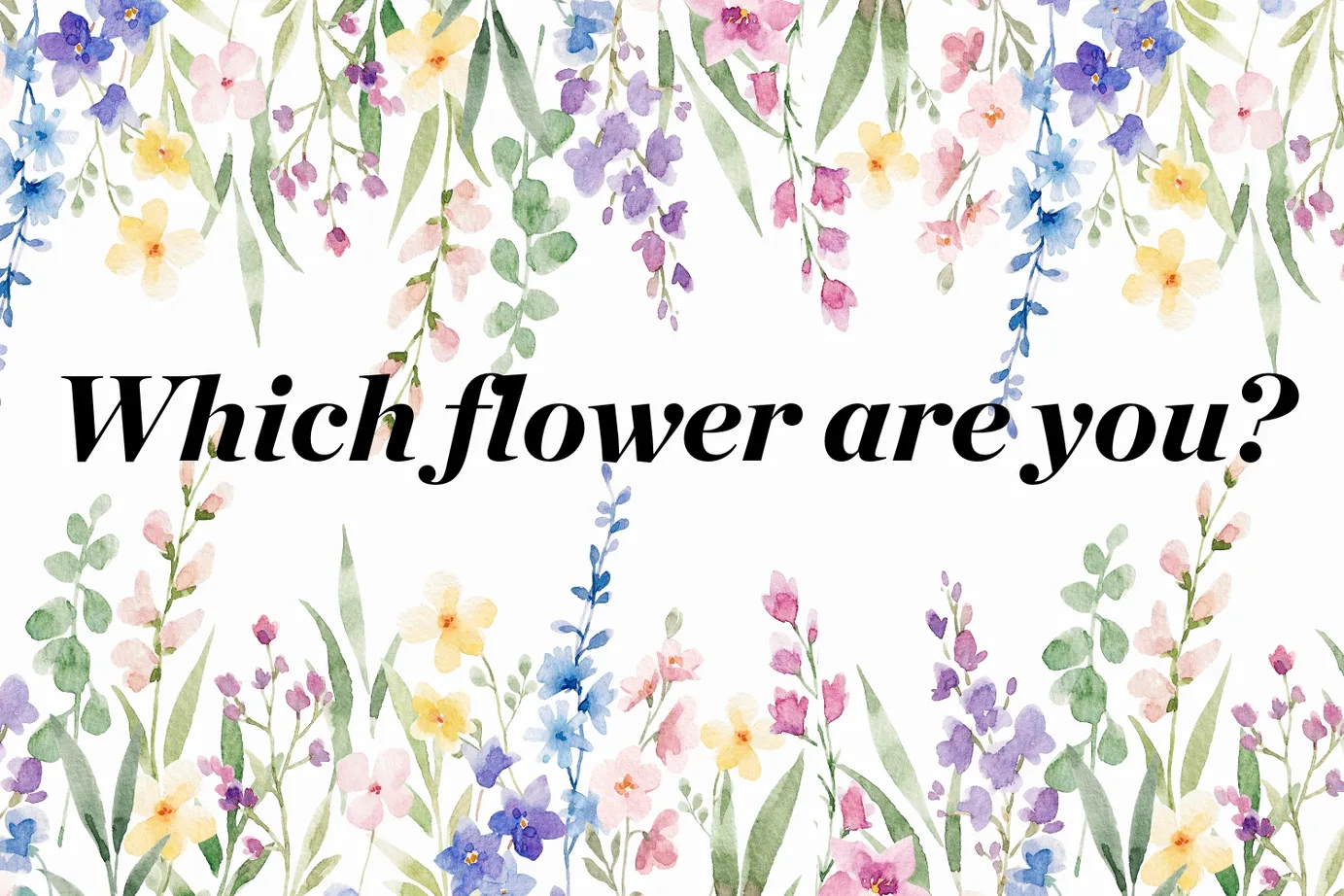 Which flower are you? Take this quiz to find out - Better Homes ...