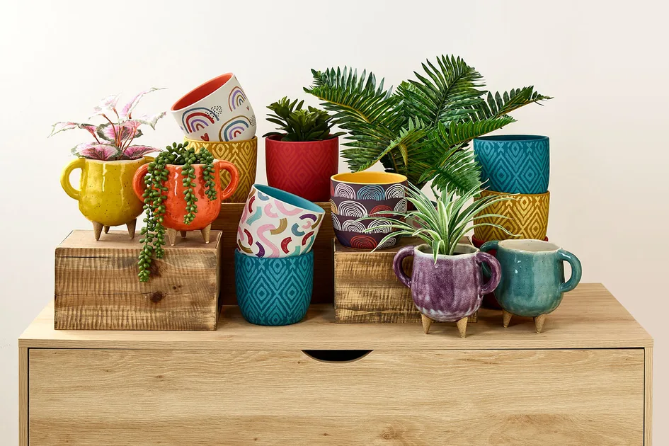 Spotlight Promo Codes: Up to 50% off | September 2025