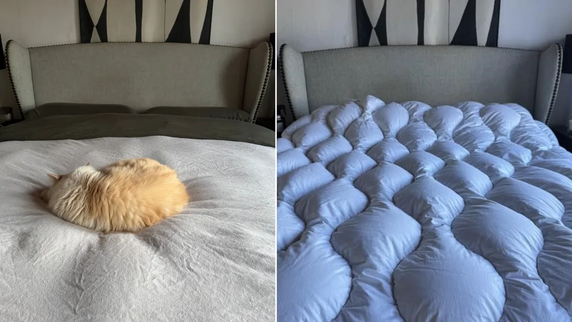 Bonny Doona Review from a Fussy Sleeper: Is it worth the hype?