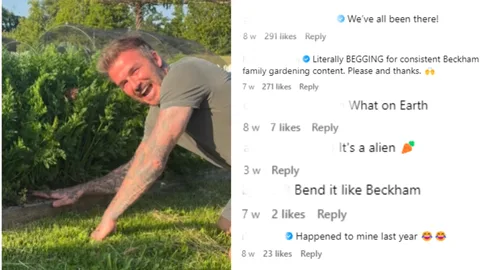 David Beckham's garden tour showcases his amazing vegie patch - Better ...