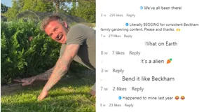 David Beckham's garden tour showcases his amazing vegie patch - Better ...