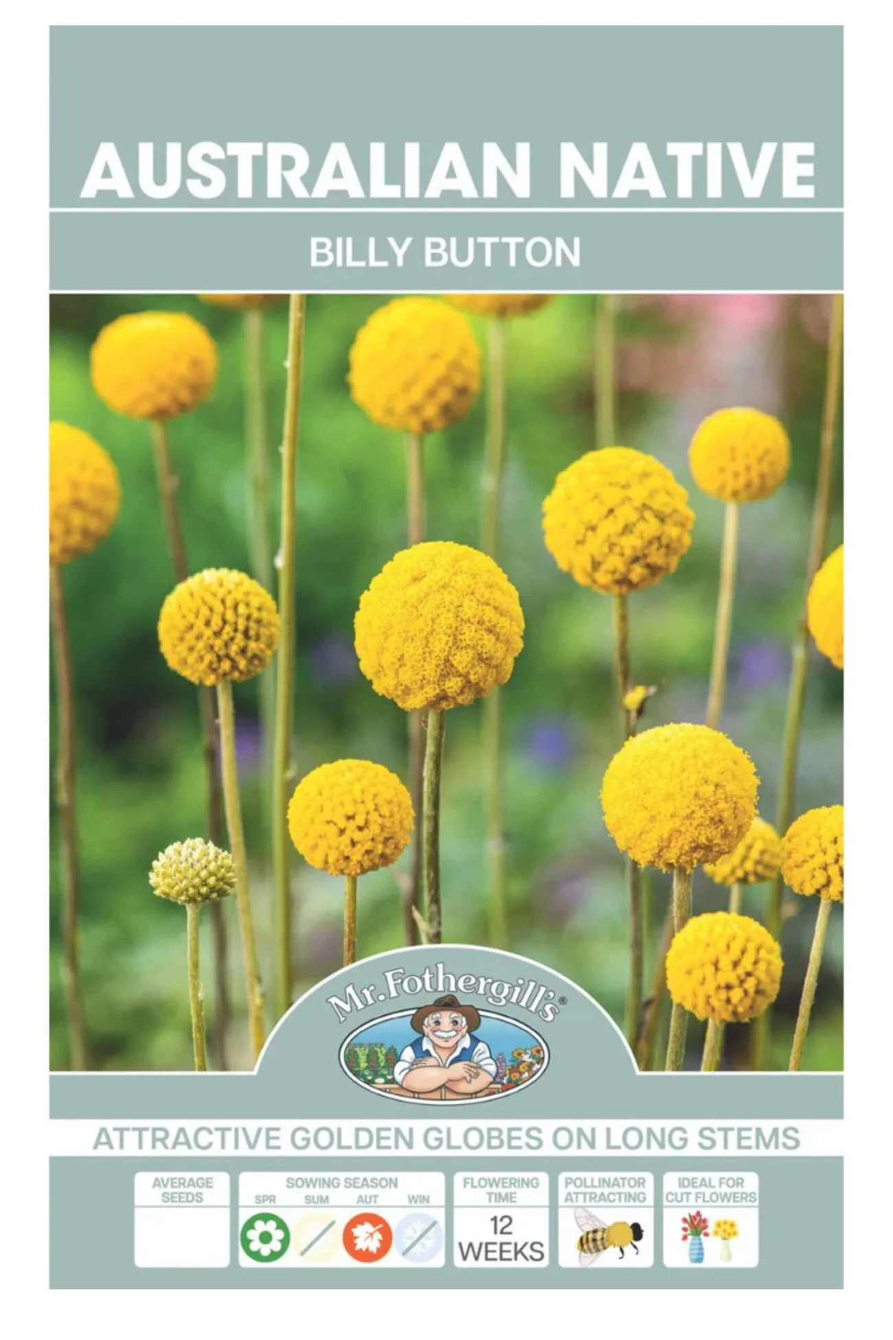 Seed bombs: the old-school gardening method reviving native plants ...