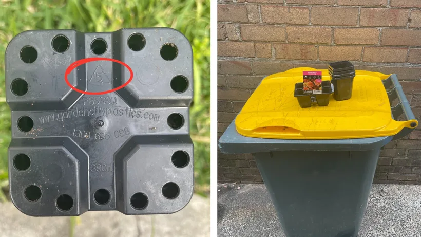 Can you recycle plastic plant pots? - Better Homes & Gardens Australia
