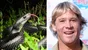 4 animals named in honour of Steve Irwin - Better Homes & Gardens Australia
