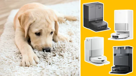 EOFY robot vacuum deals: the best models for tackling pet hair