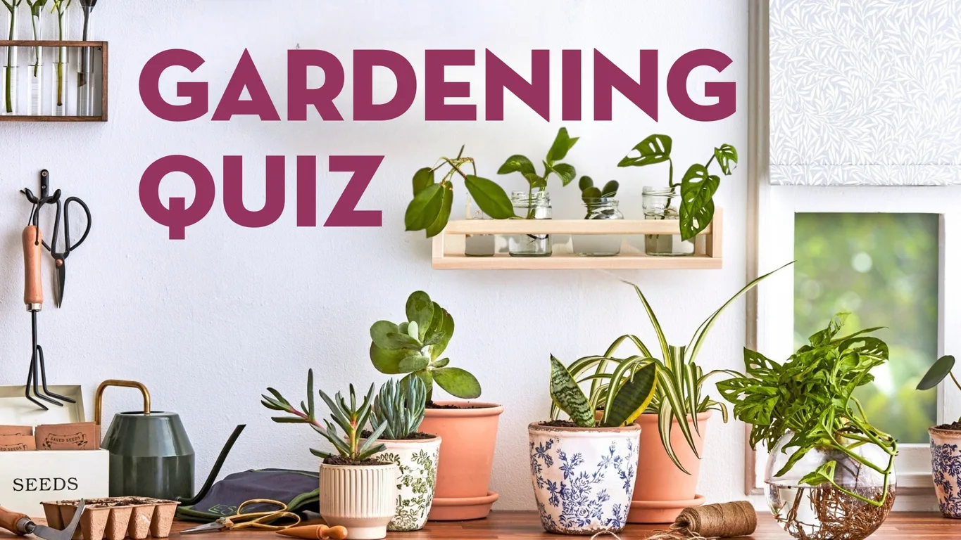 Test your knowledge with our fun gardening quiz - Better Homes ...