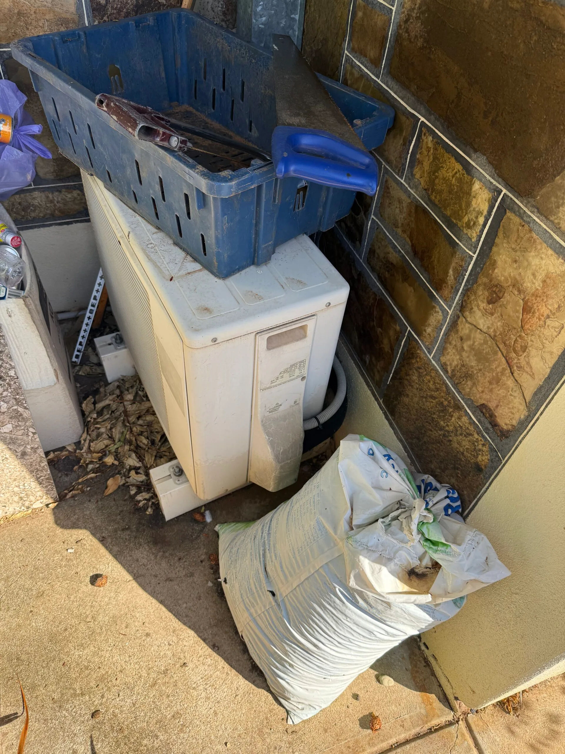 Mouse plague: 7 expert tips to keep mice out of your home - Better ...
