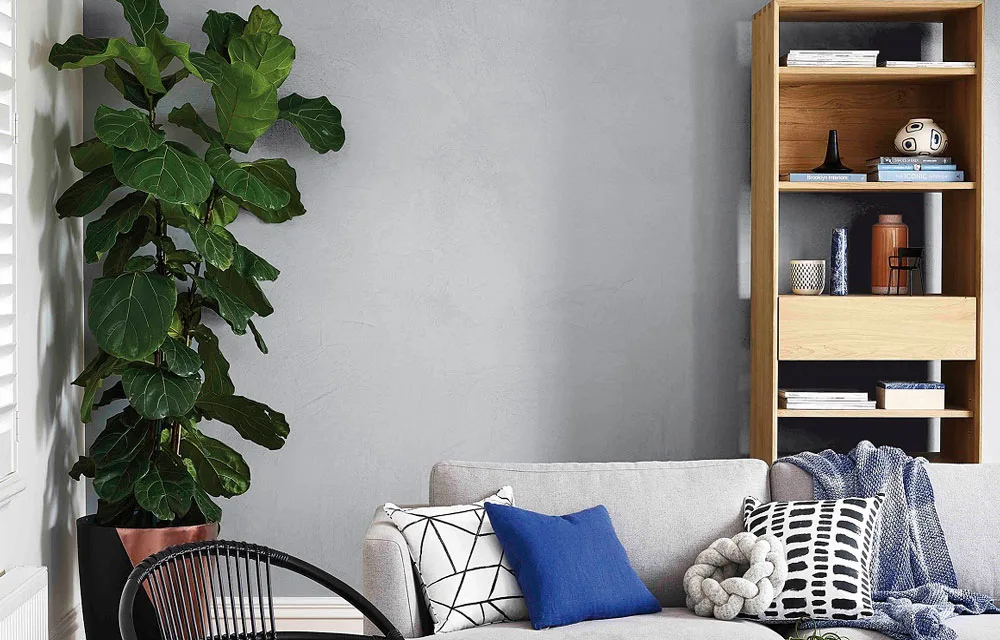 Top tips for painting interior walls | Better Homes & Gardens Australia