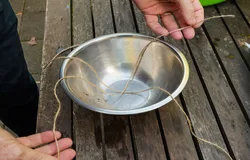 How to make a kokedama - Better Homes & Gardens Australia