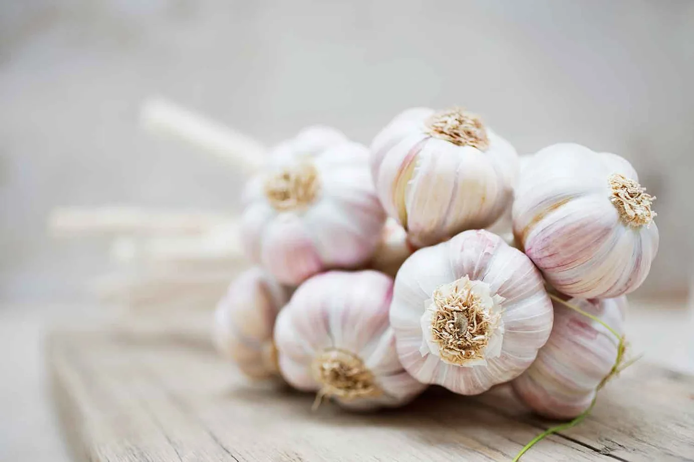 How to grow garlic and when to harvest it