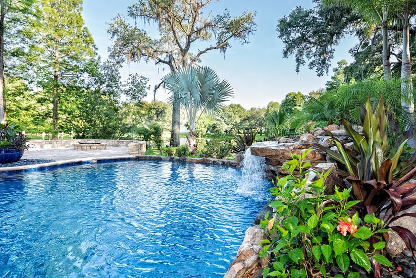 5 lush tropical plants to grow around a pool