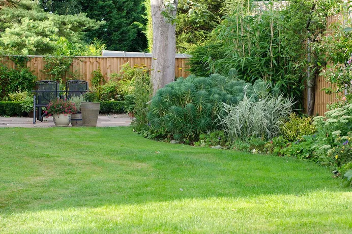 Garden edging: How to trim your lawn edge