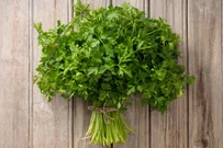 How to grow parsley, indoors or outside | Better Homes & Gardens Australia