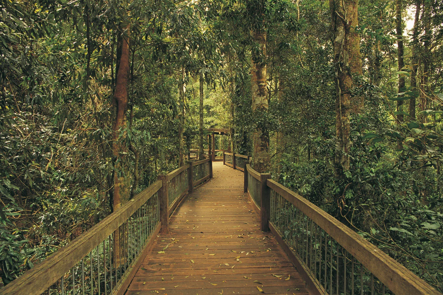 Bellingen: All the things to see and do | Better Homes & Gardens Australia