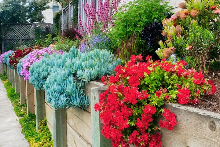 Four landscaping ideas to start in autumn