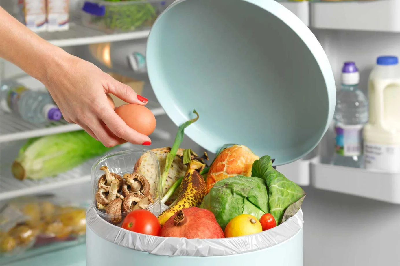 Food Waste in Australia: Facts, Statistics & Solutions