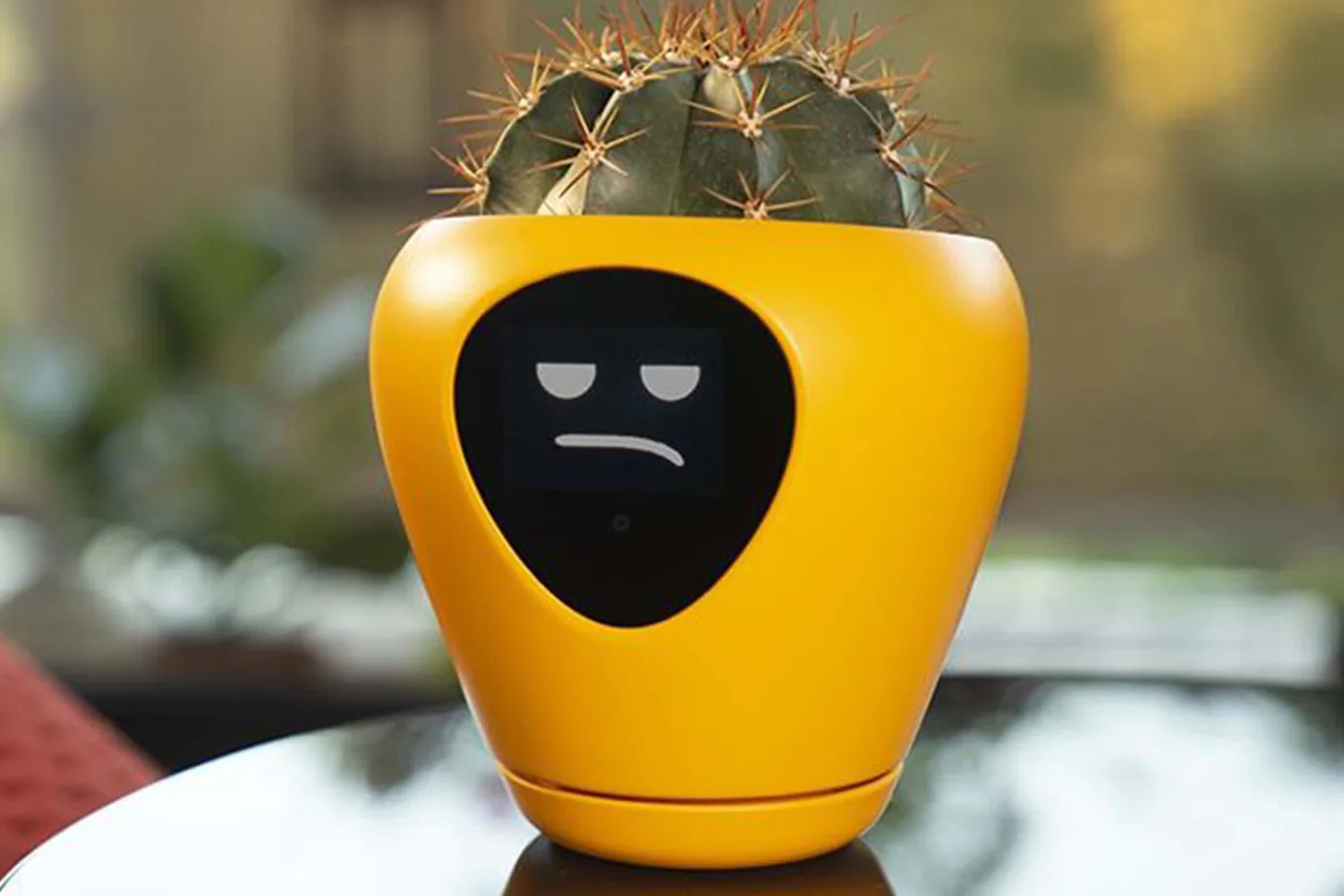 The Lua smart planter will tell you when your plant needs sun or water ...