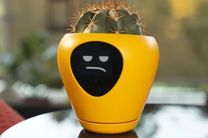 The Lua smart planter will tell you when your plant needs sun or water ...