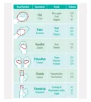 What is Portion Control & How to Do It? | Better Homes & Gardens Australia