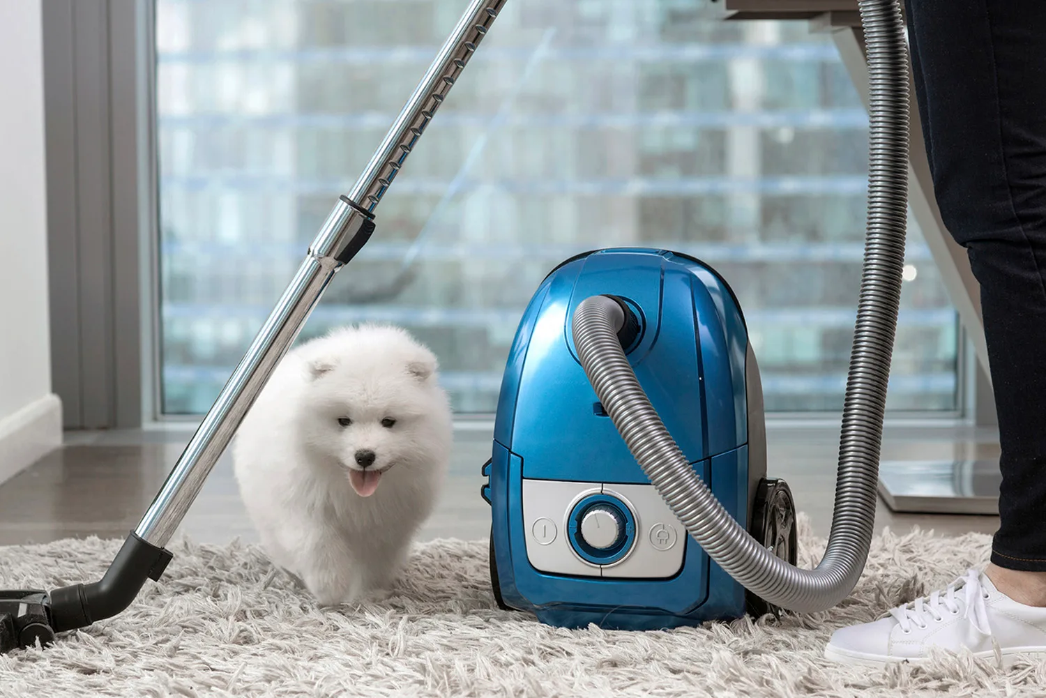 Vacuum cleaners for pets store