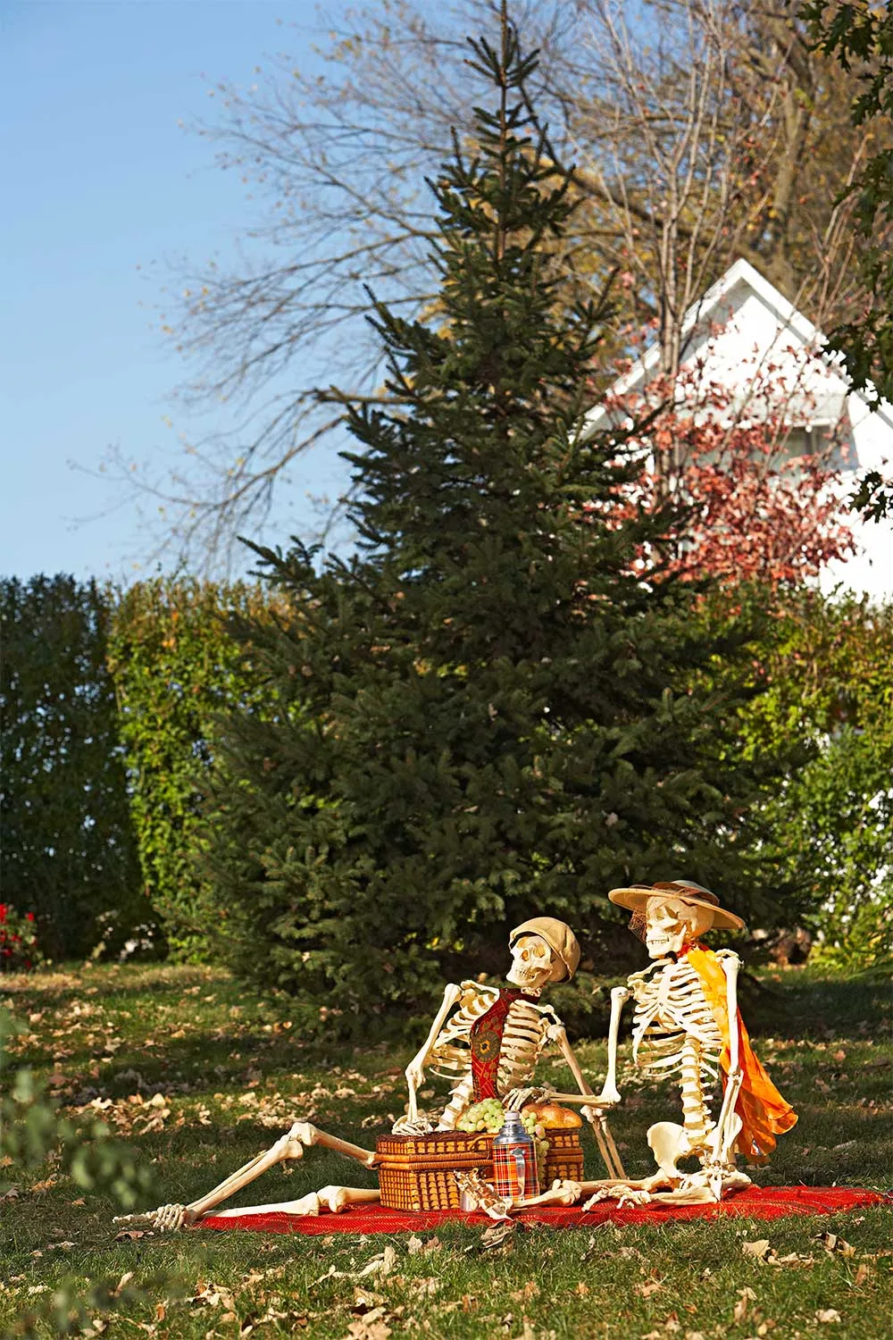 19 funny skeleton poses for Halloween | Better Homes and Gardens
