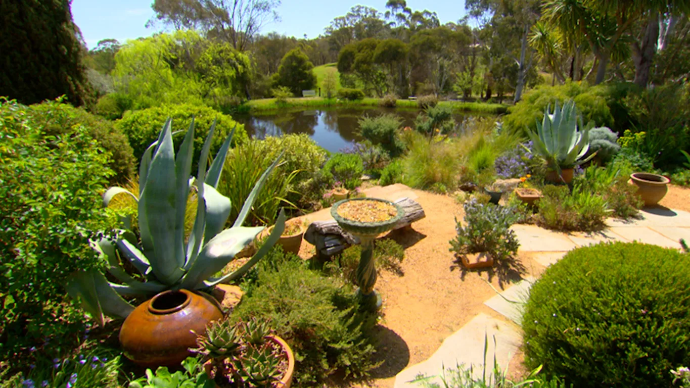 Lixouri Mediterranean Garden - Better Homes & Gardens Australia