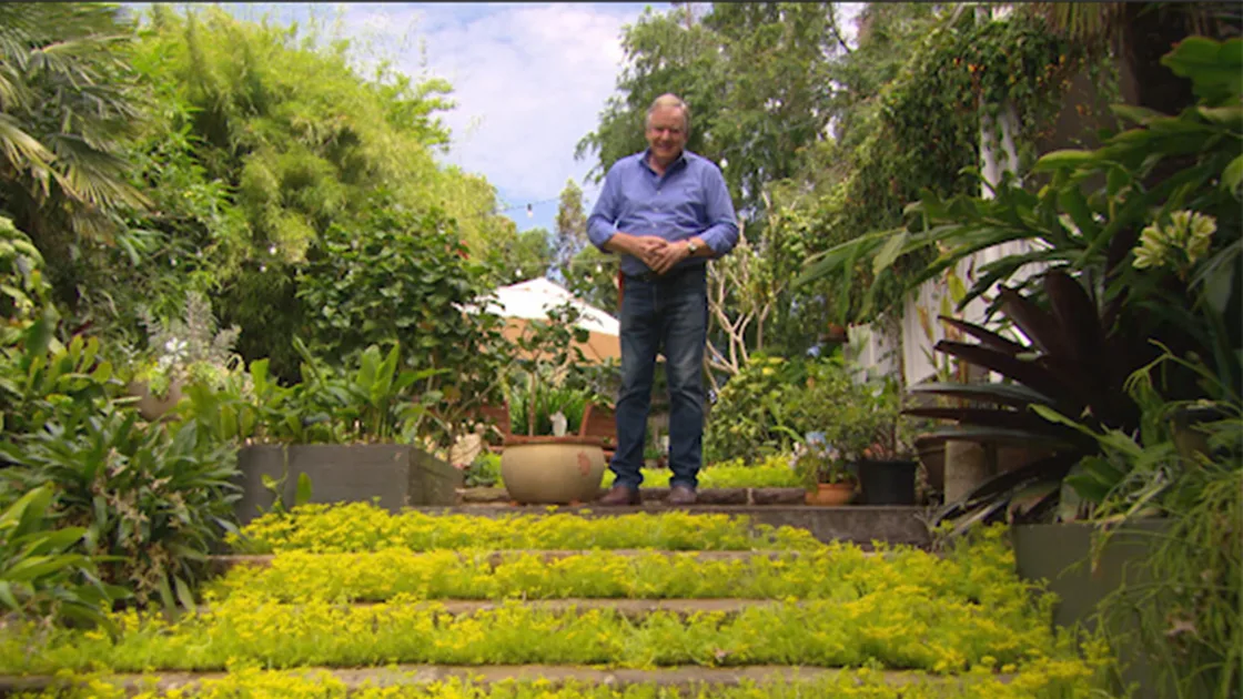 SPRING GARDENING JOBS - Better Homes & Gardens Australia