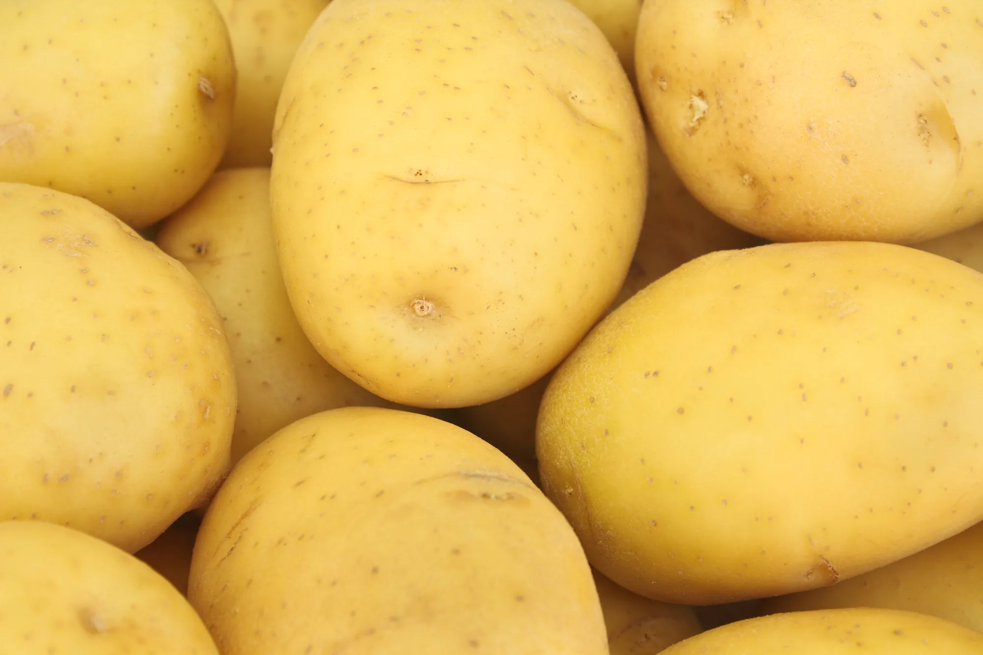 Best Potatoes for Perfect Baked Potatoes