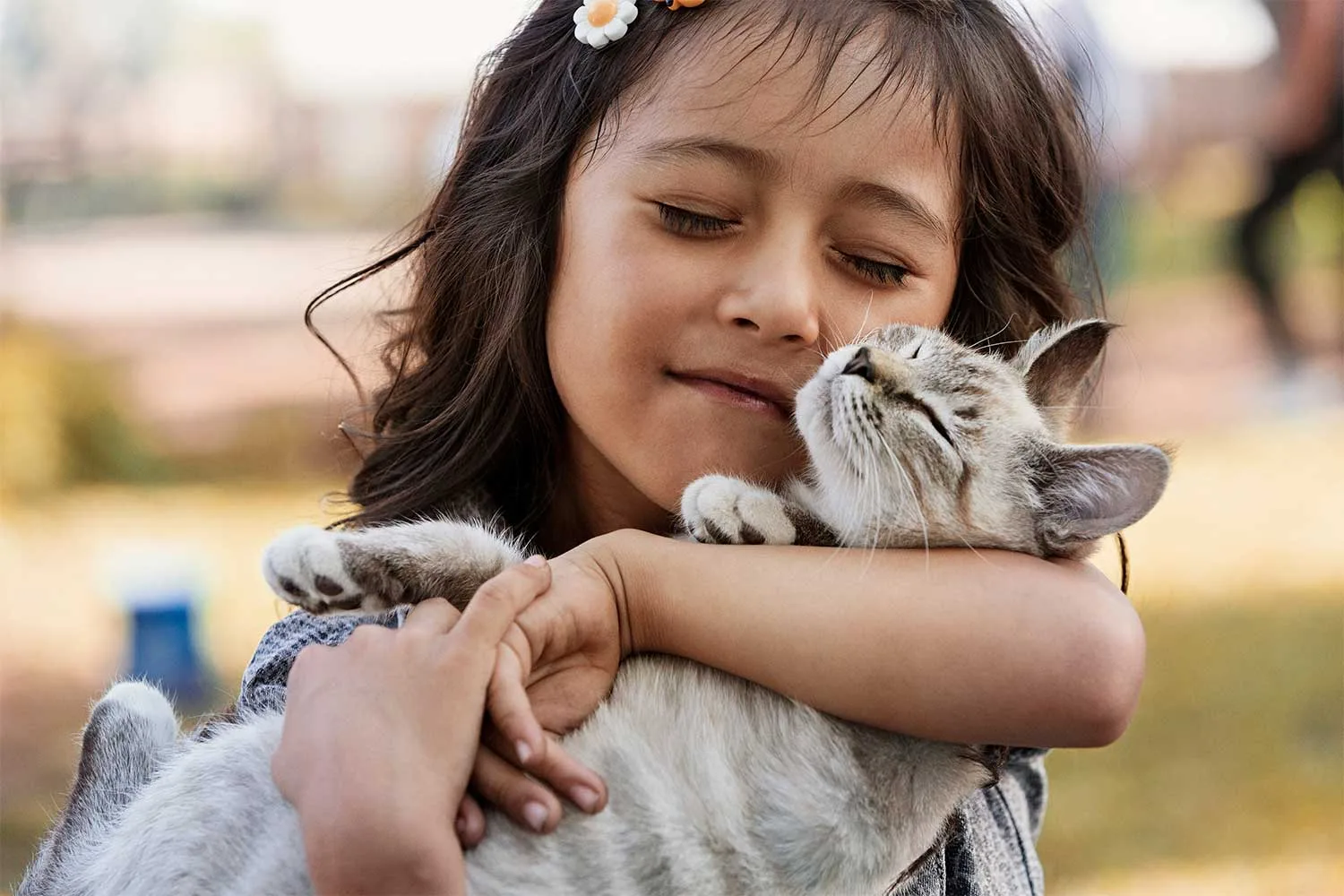 How kids can cuddle rescue cats these holidays