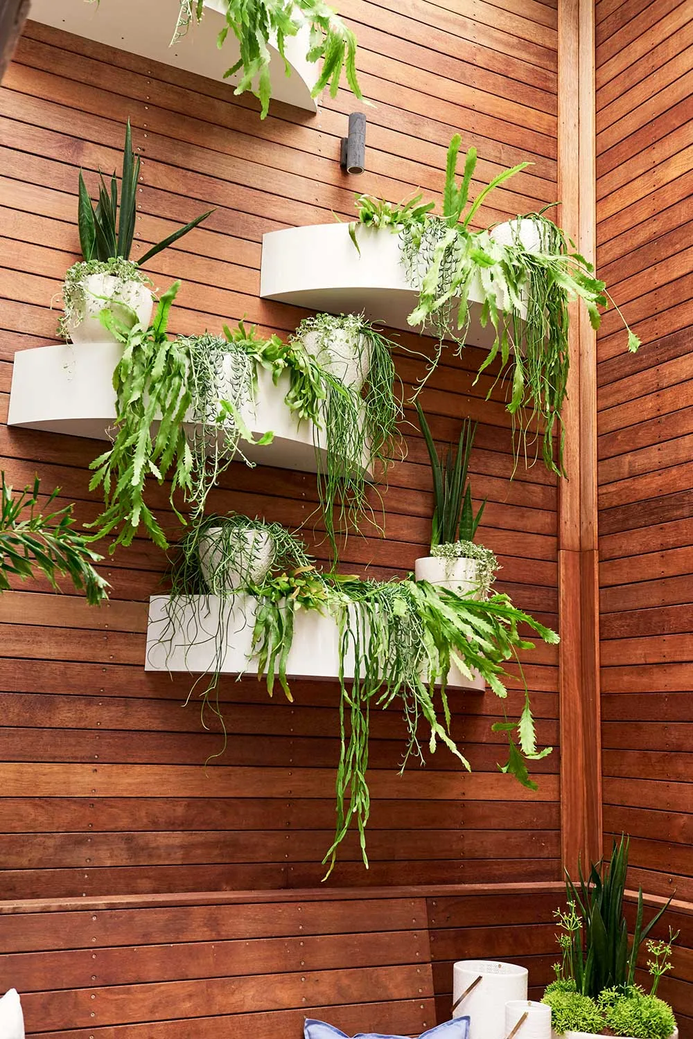How to create an affordable green wall | Better Homes & Gardens Australia