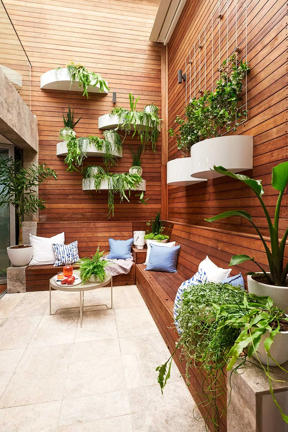 How to create an affordable green wall | Better Homes & Gardens Australia