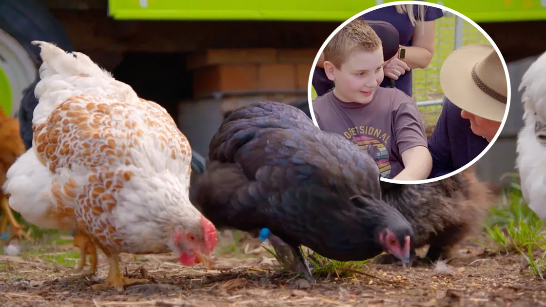 Meet an 11-year-old chook-a-holic - Better Homes & Gardens Australia