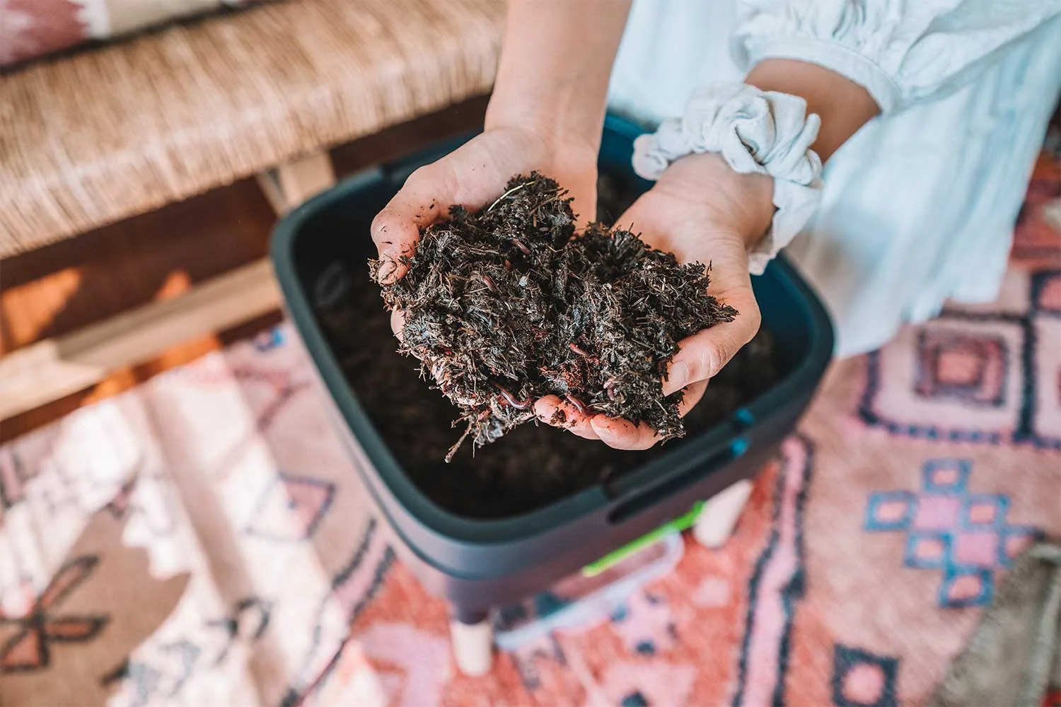 How to set up a worm farm at home | Better Homes & Gardens Australia