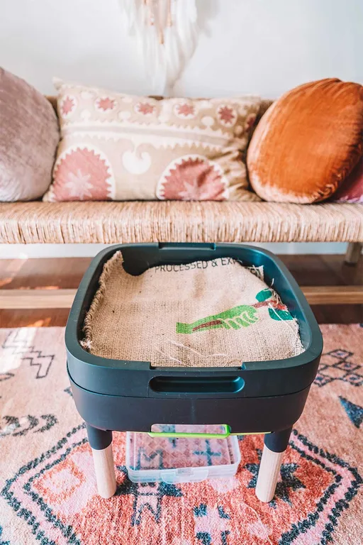 How to set up a worm farm at home | Better Homes & Gardens Australia