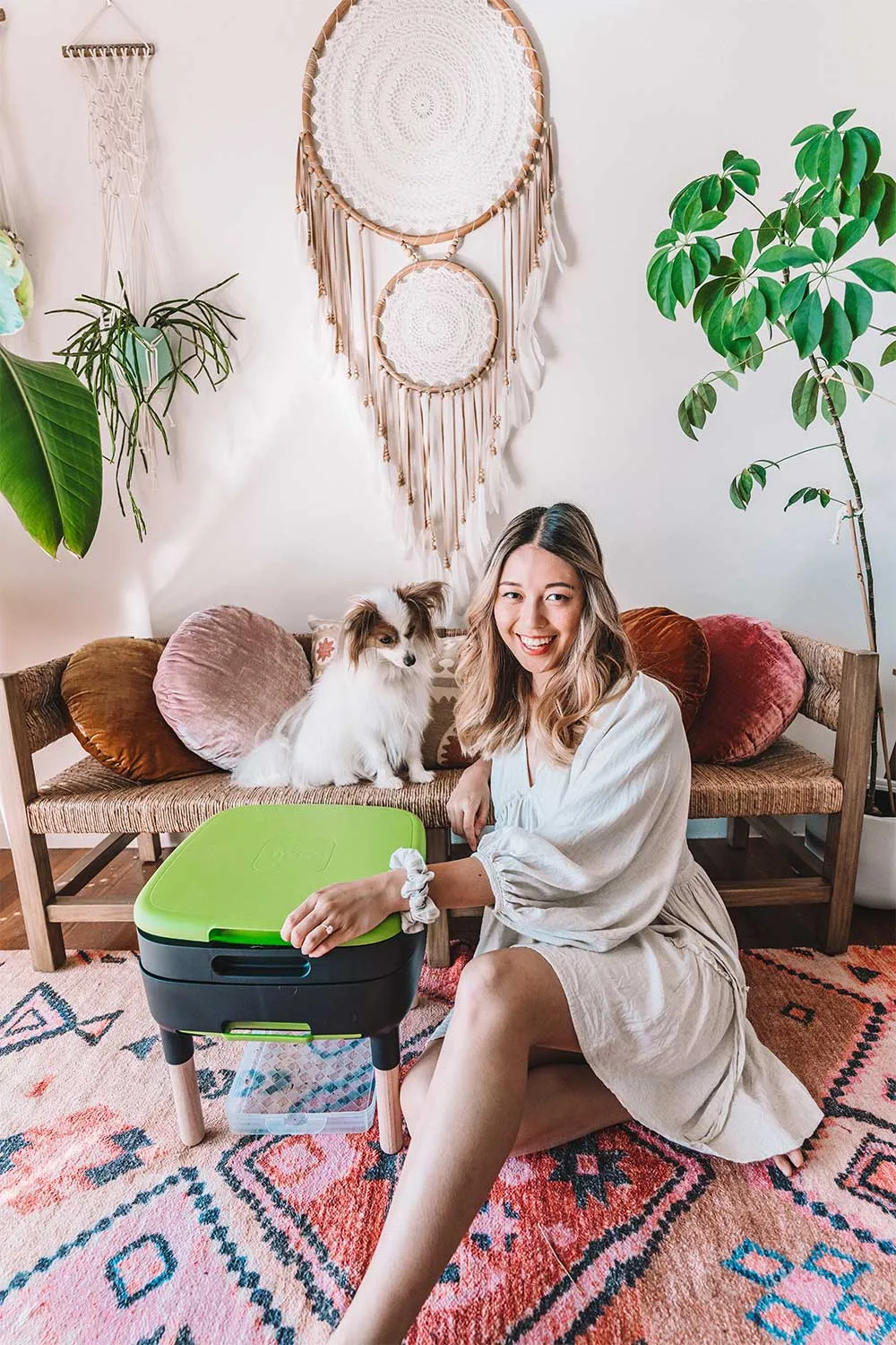 How to set up a worm farm at home | Better Homes & Gardens Australia