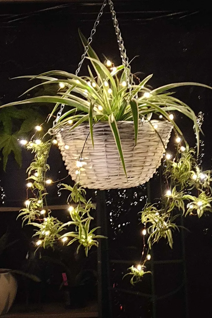 Reader project: A sparkling hanging garden