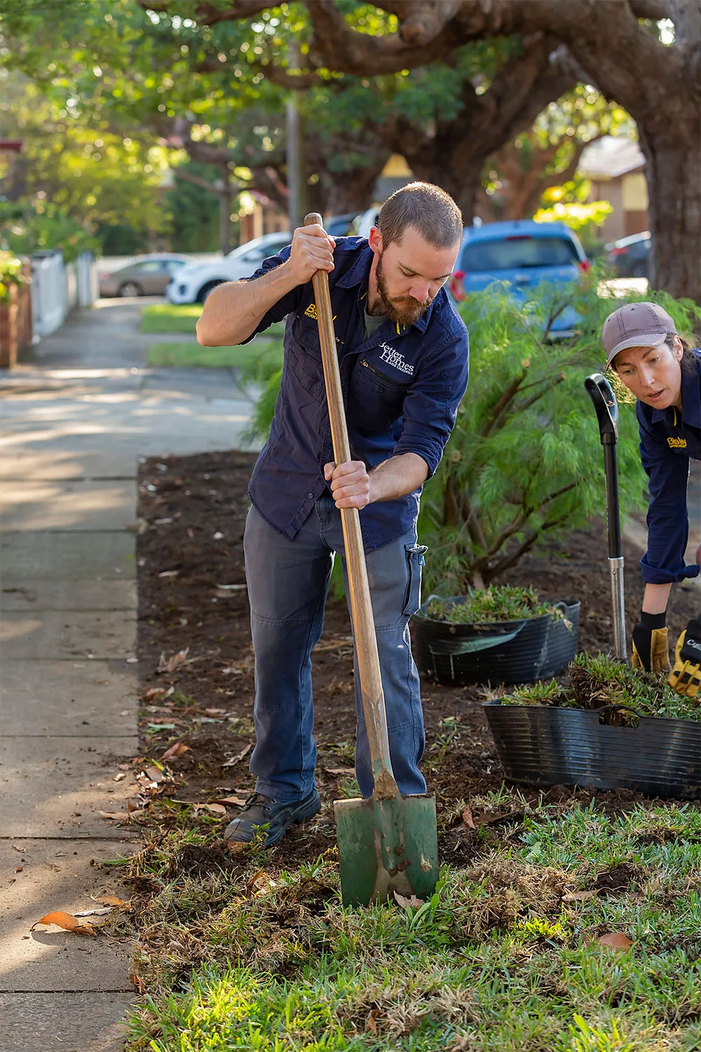 Charlie Albone's Guide to Native Verge Gardens