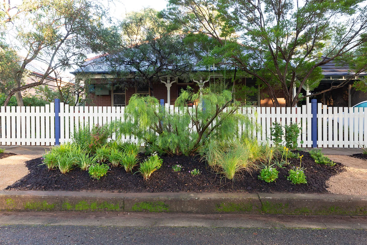 Charlie Albone's Guide to Native Verge Gardens