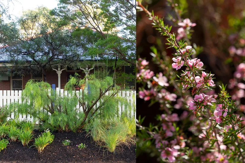 Charlie Albone's Guide to Native Verge Gardens